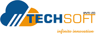 What We Do – Techsoft Solutions